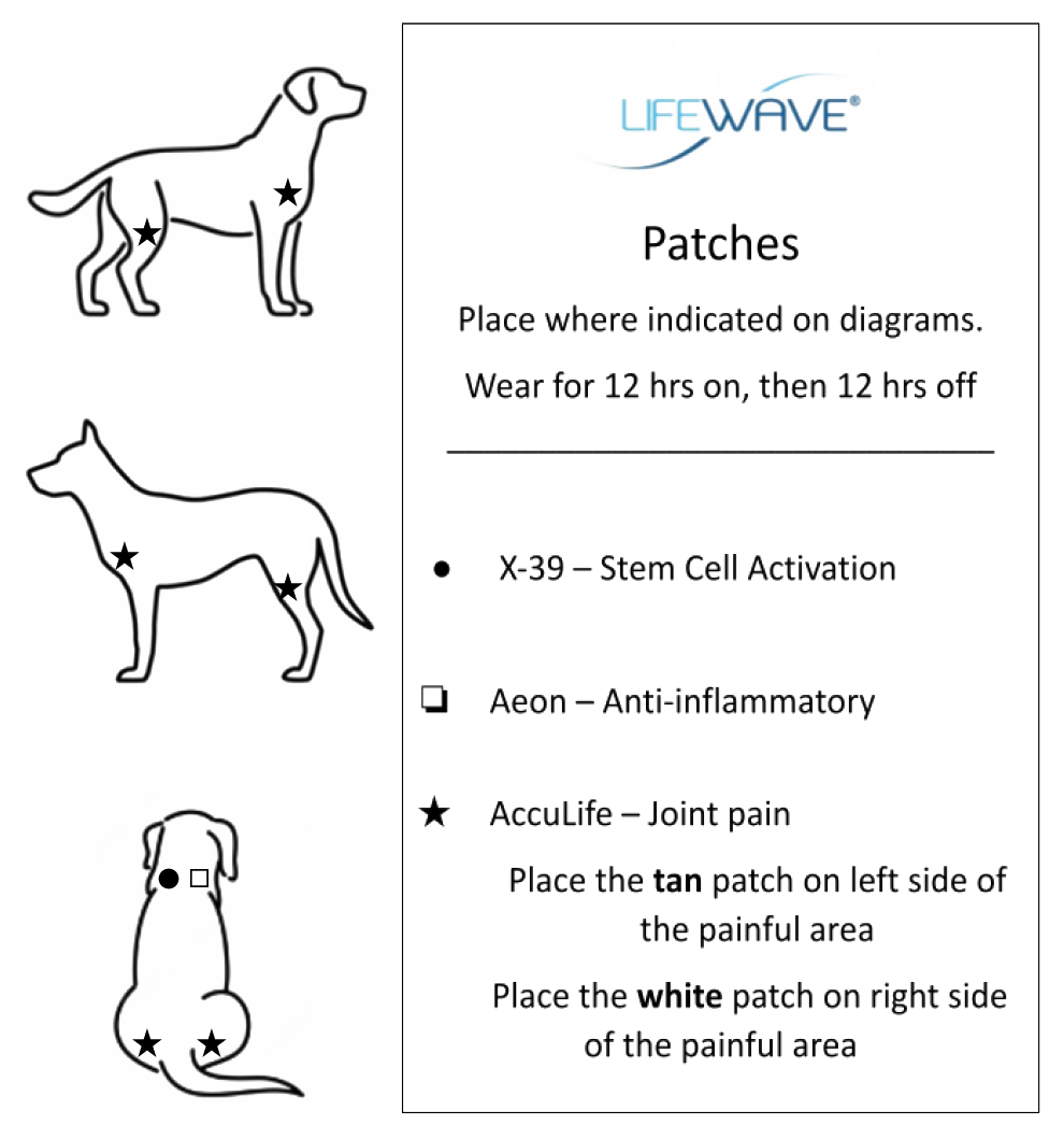 Animal Healing Patches – Stem Cell Activation Patches – For you and ...
